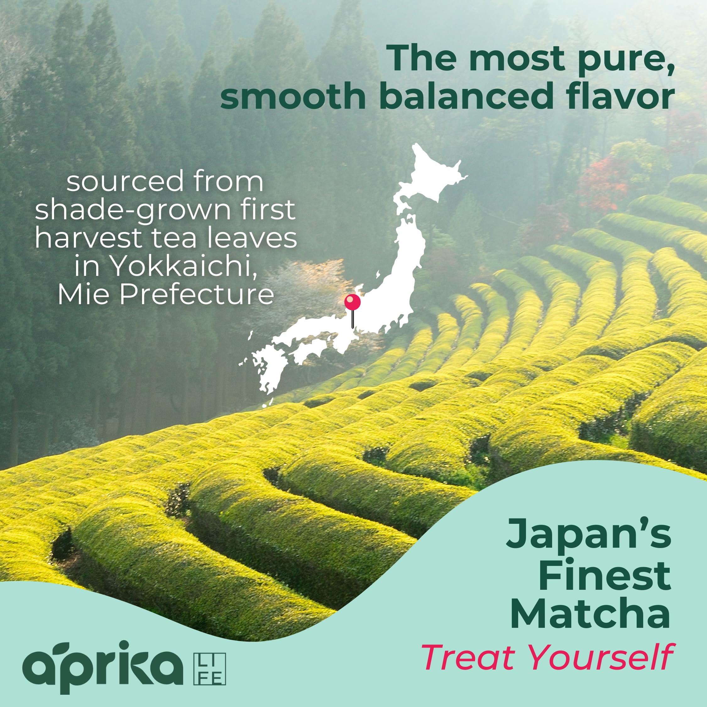 Snapklik.com : Authentic Japanese Ceremonial Grade Matcha Powder, First ...