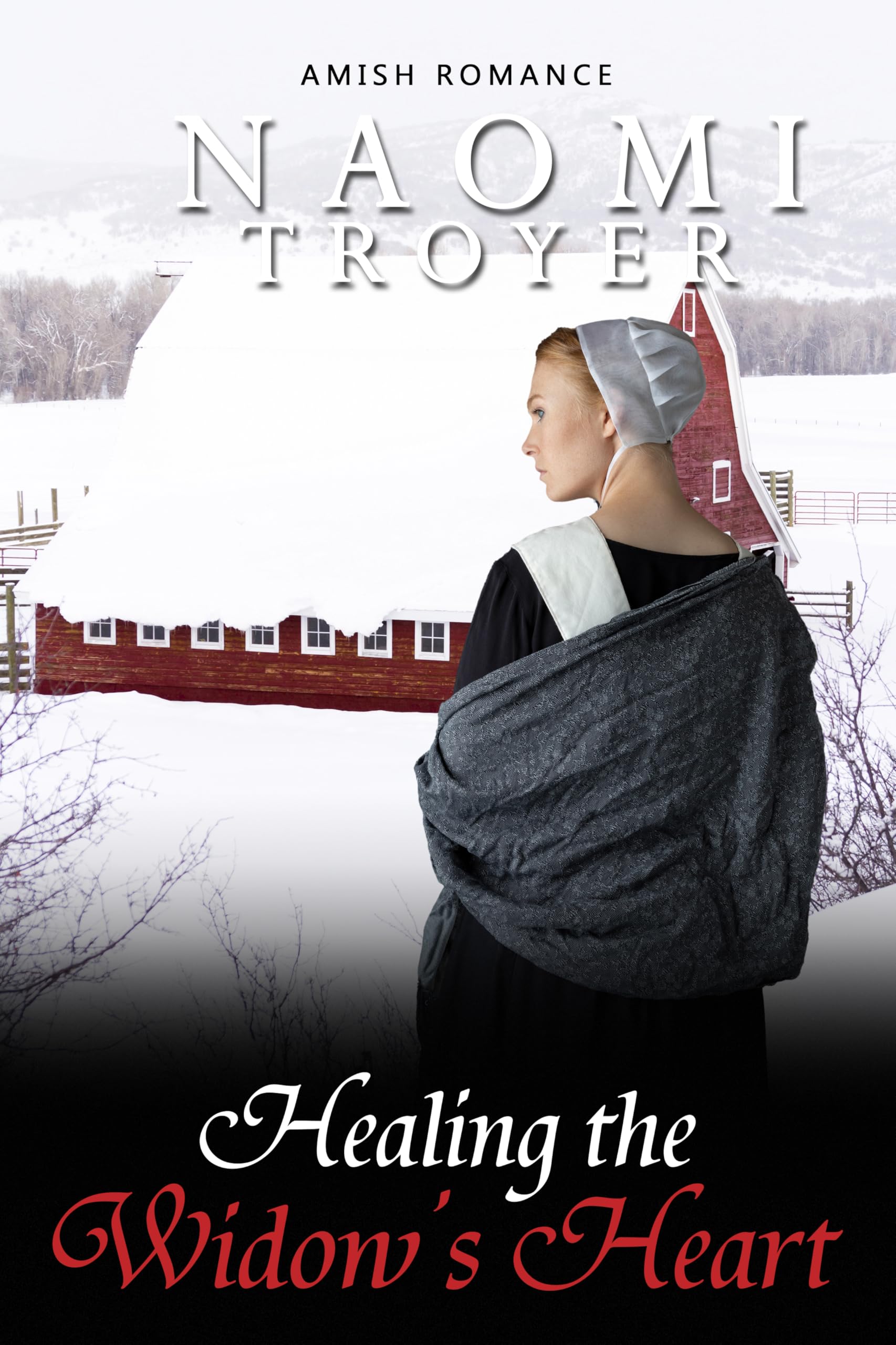 ebook Healing the Widow's Heart Ebook: Featured eBooks of the Month