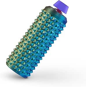 Amazon.com: Sensory Roller Fidget Toy with Clicker, Tactile Spikes for ...