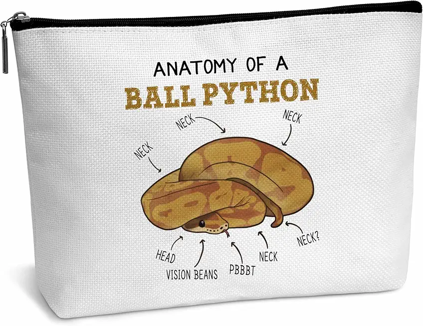 Understanding The Anatomy Of A Ball Python: A Complete Guide | PetShun