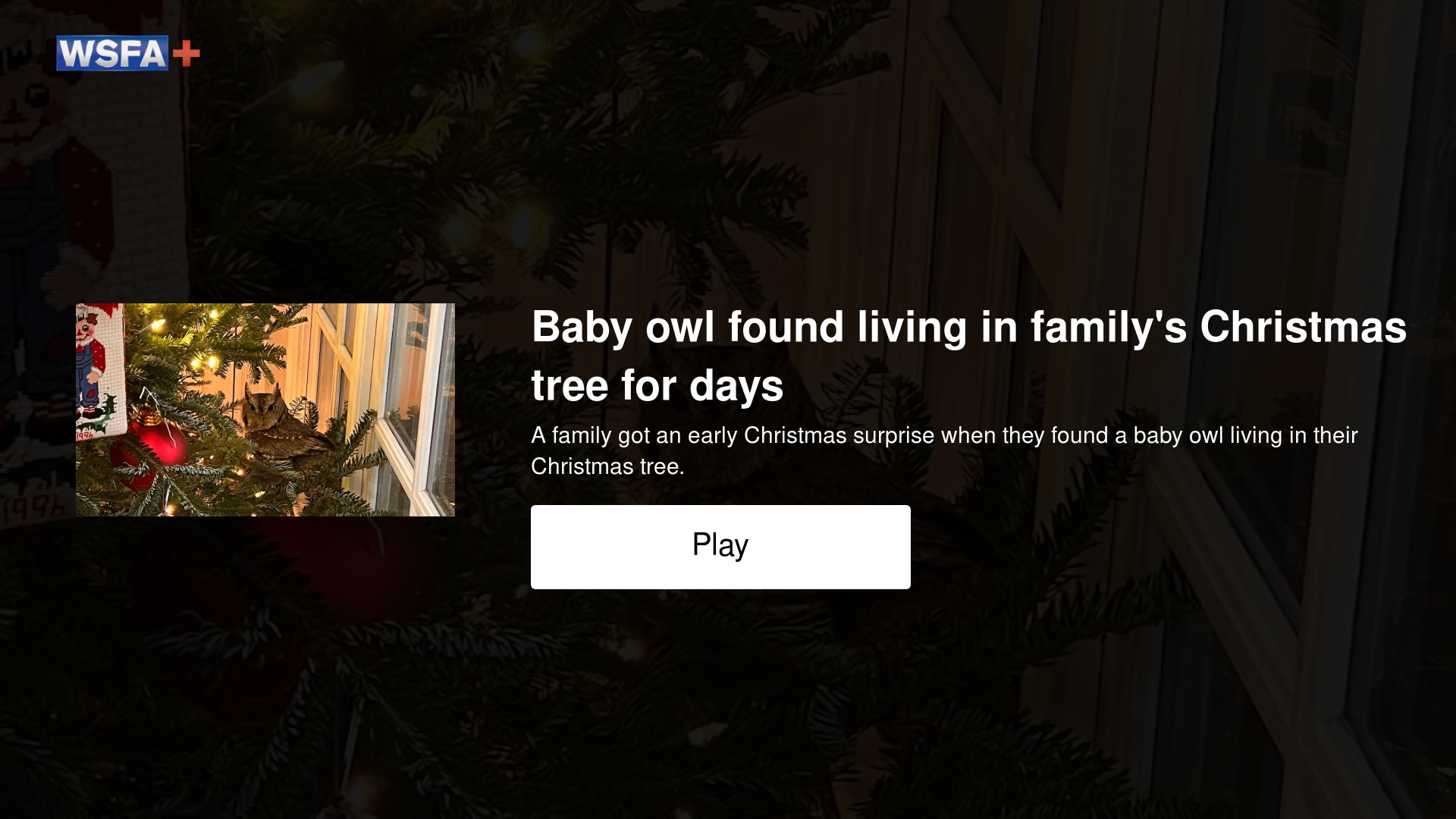 WSFA 12 News:Amazon.com:Appstore for Android
