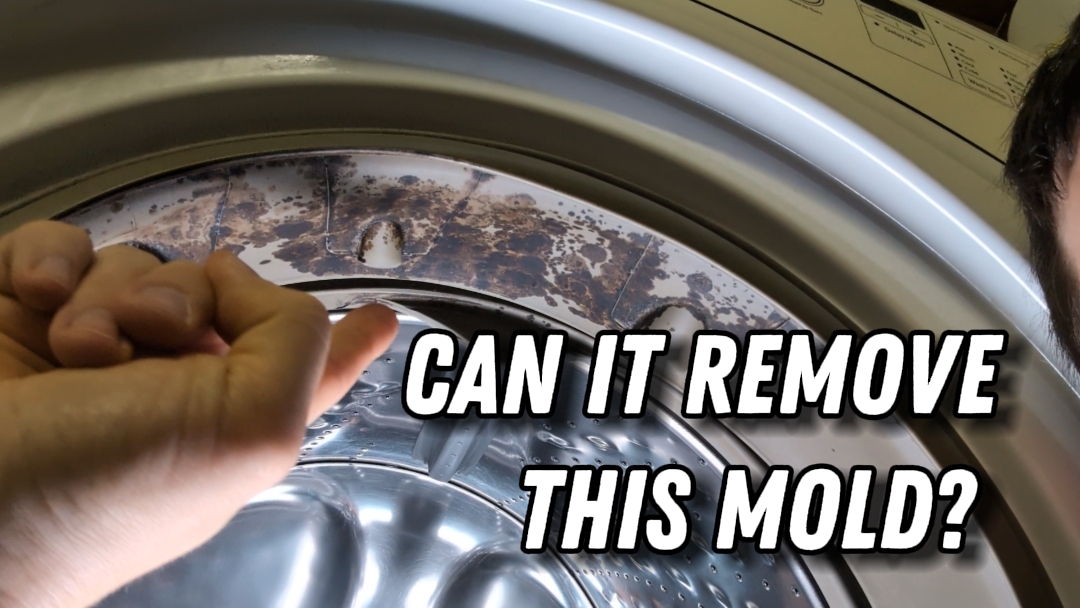 Watch Does it actually remove mold? Find out how well it does! on ...