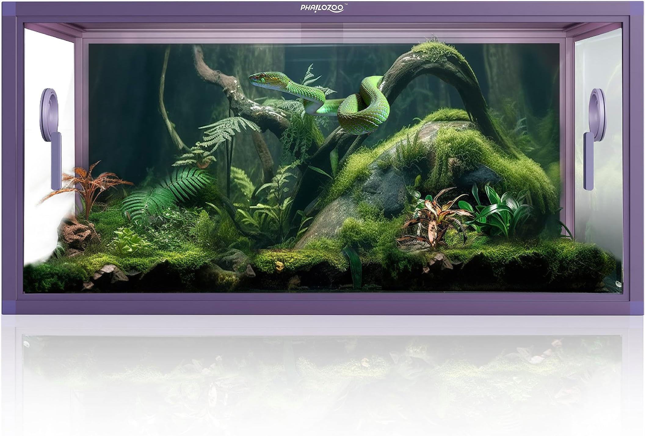 Amazon.com : Phailozoo 50 Gallon Bearded Dragon Tank, Reptile Enclosure ...