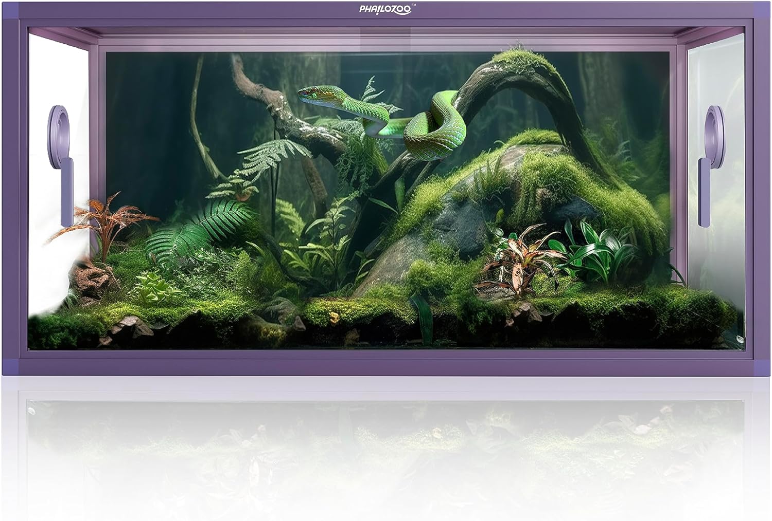 Amazon.com: Phailozoo 36x18x18 Reptile Tank, Front Opening Terrarium ...