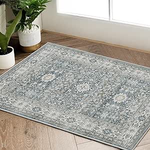 Amazon.com: jinchan Area Rug 2x3 Washable Entryway Rug Distressed Gray ...