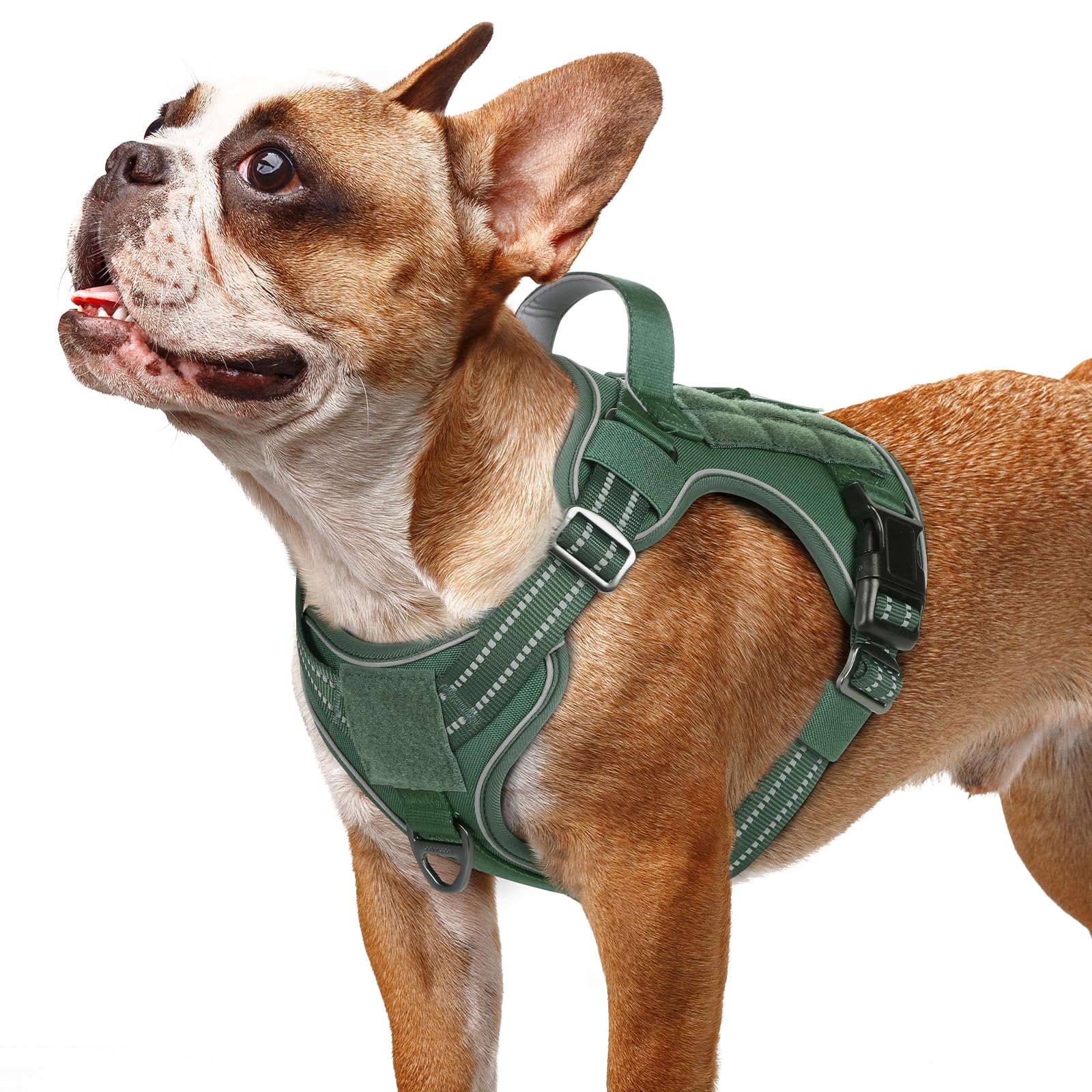 Amazon.com : rabbitgoo Dog Harness Small Sized No Pull, Tactical ...