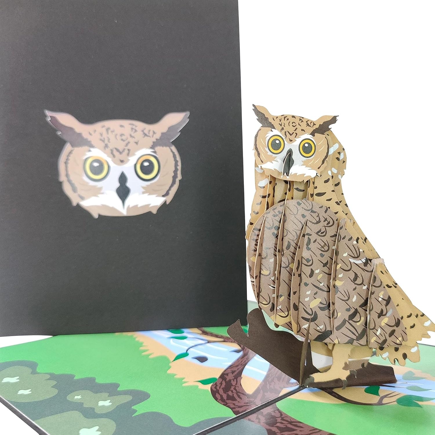 CardPop Brown Owl Pop-Up Card - 3D Pop Up Greeting Card : Amazon.co.uk ...