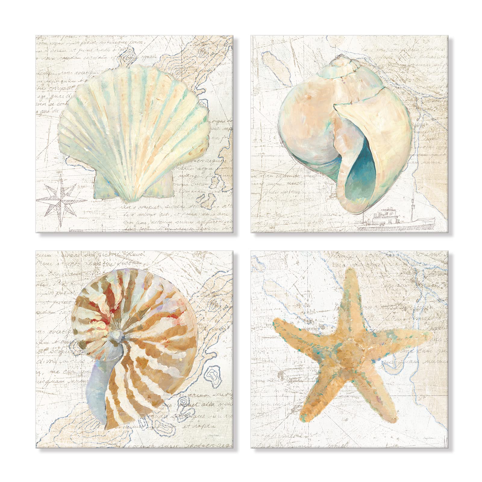 Amazon.com: Seashell Bathroom Decor Cream Color Seashell Starfish ...