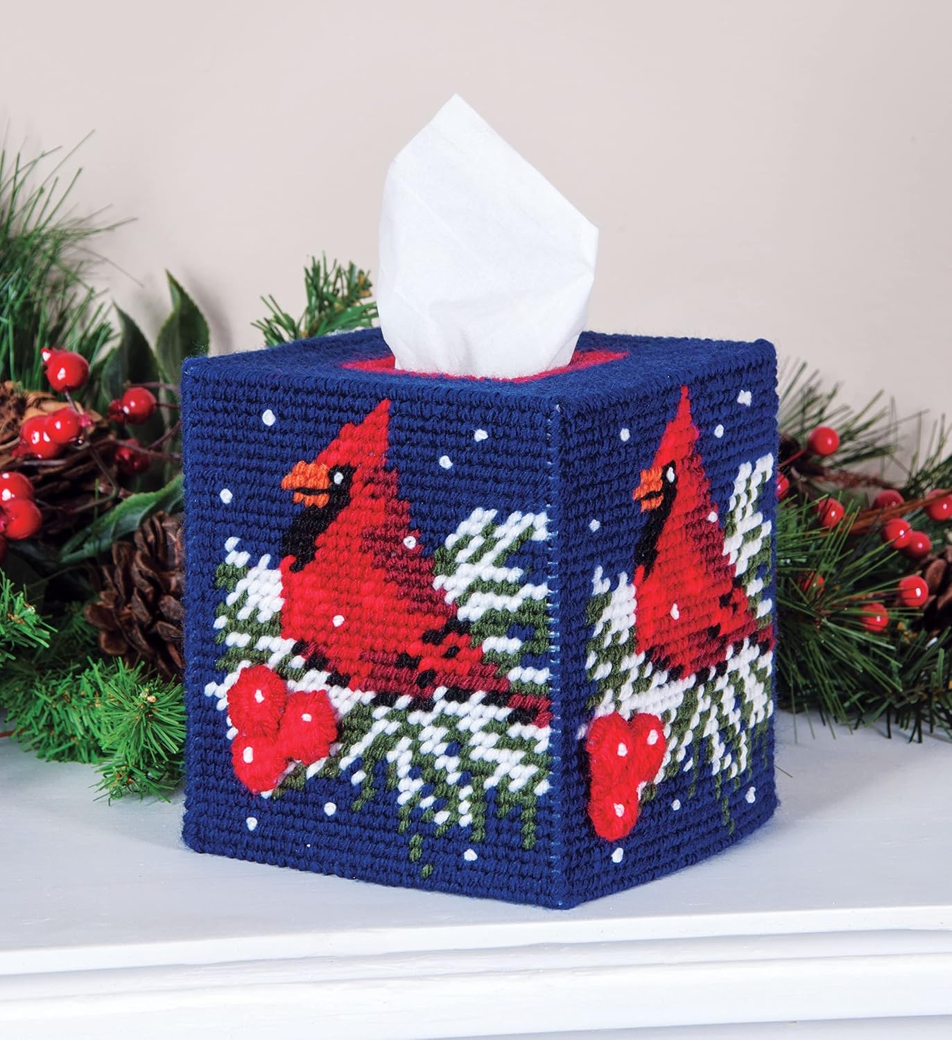 Amazon.com: MARY MAXIM Visitor (7 Count) Plastic Canvas Tissue Box Kit ...