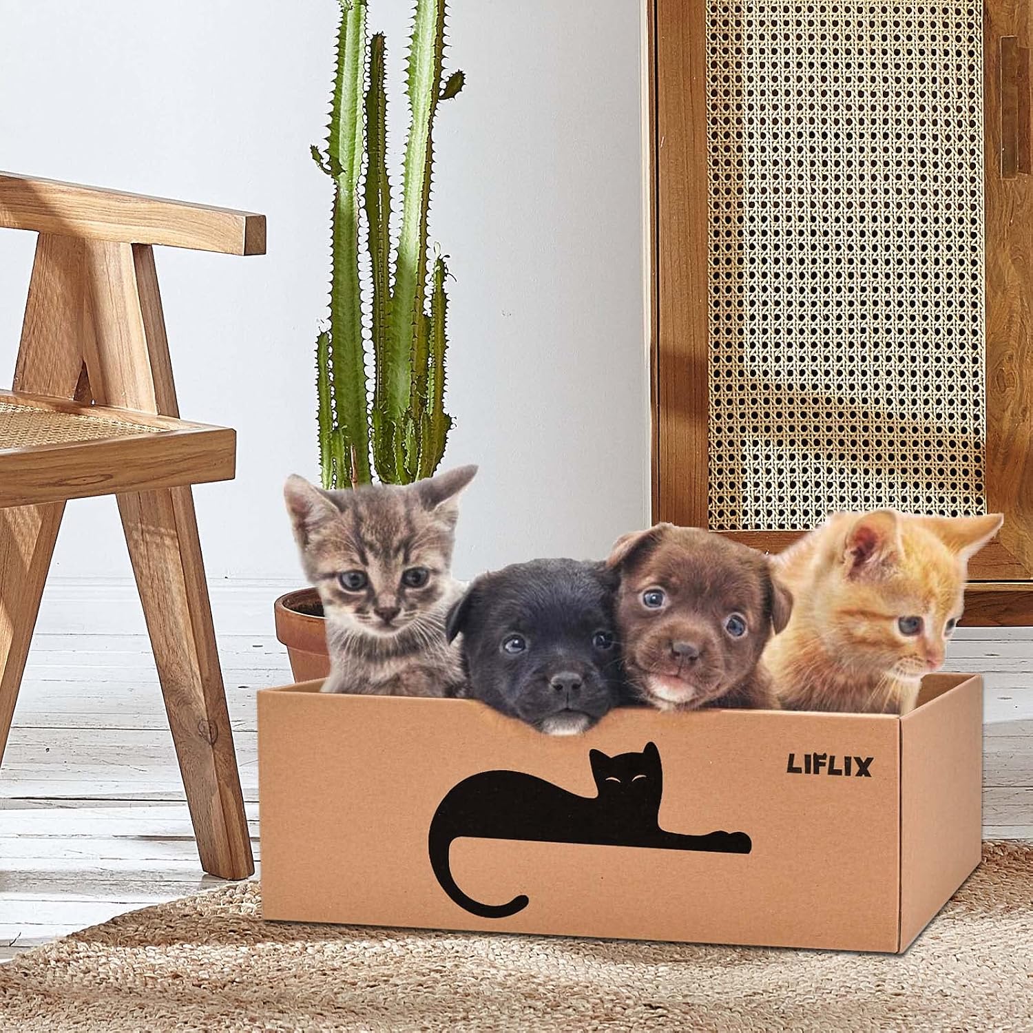 Rascador de cartón para gatos con caja, 5 almohadillas reversibles para ...