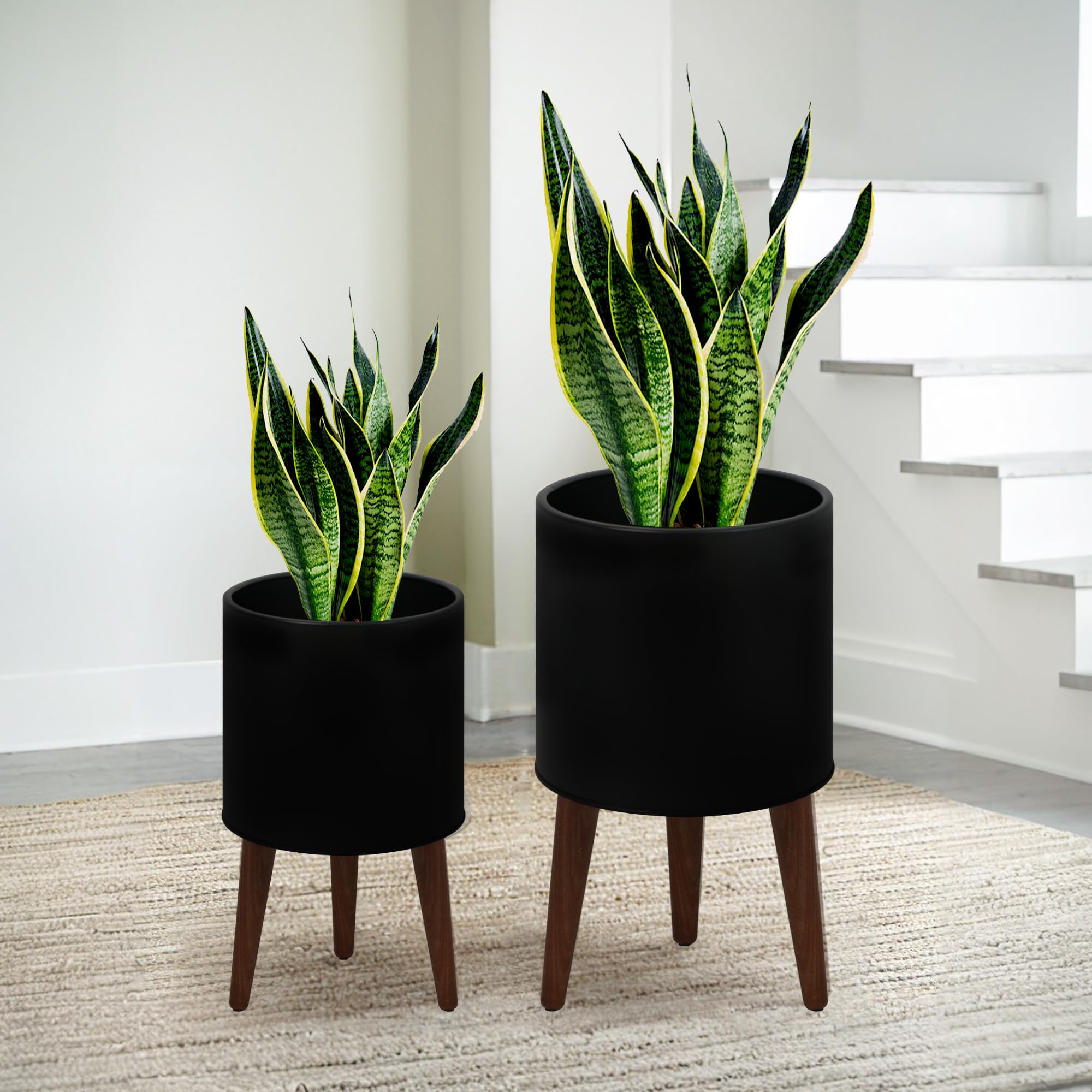 Modern Plant Containers