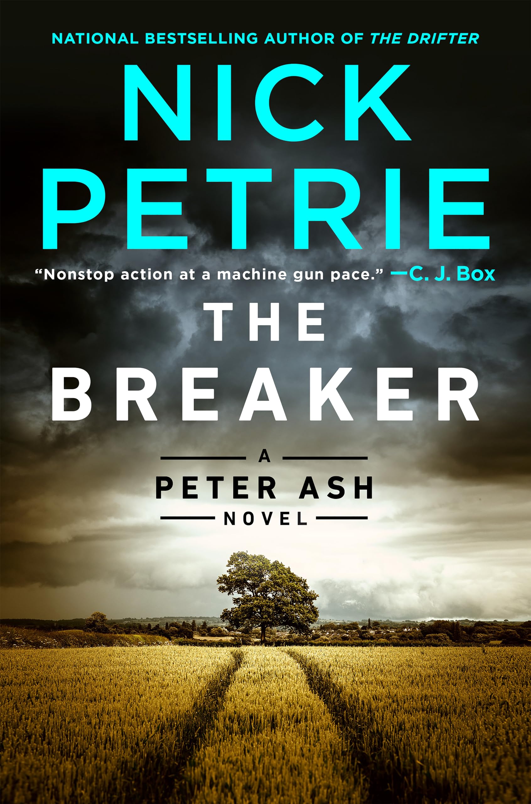 Amazon.com: The Breaker (A Peter Ash Novel): 9780525535478: Petrie ...