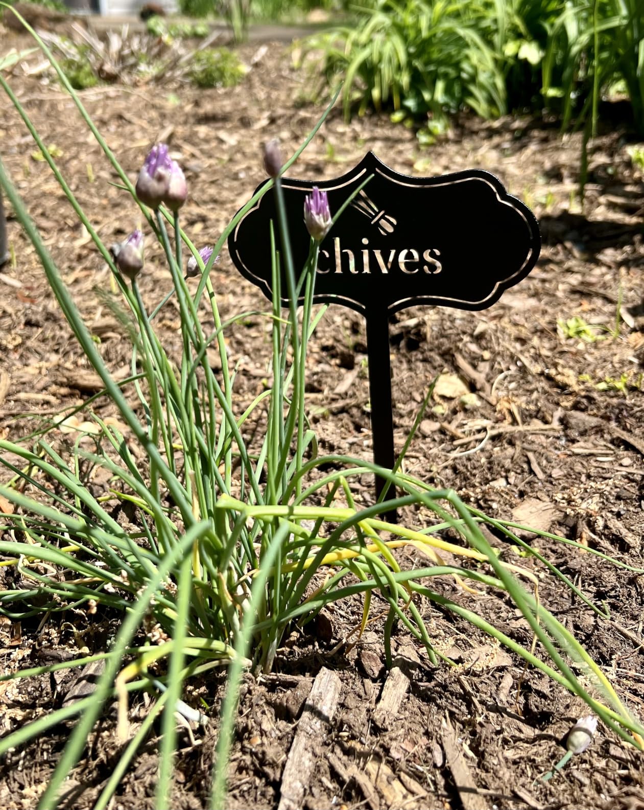 Amazon.com: RealSteel, Metal Plant Labels, Vegetable, Herb Markers ...