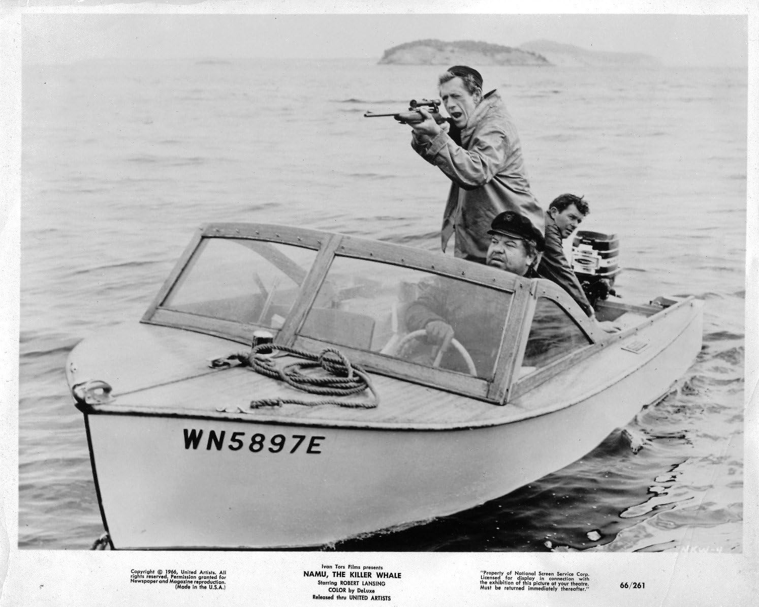 Namu The Killer Whale original 8x10 photo H1266 at Amazon's ...