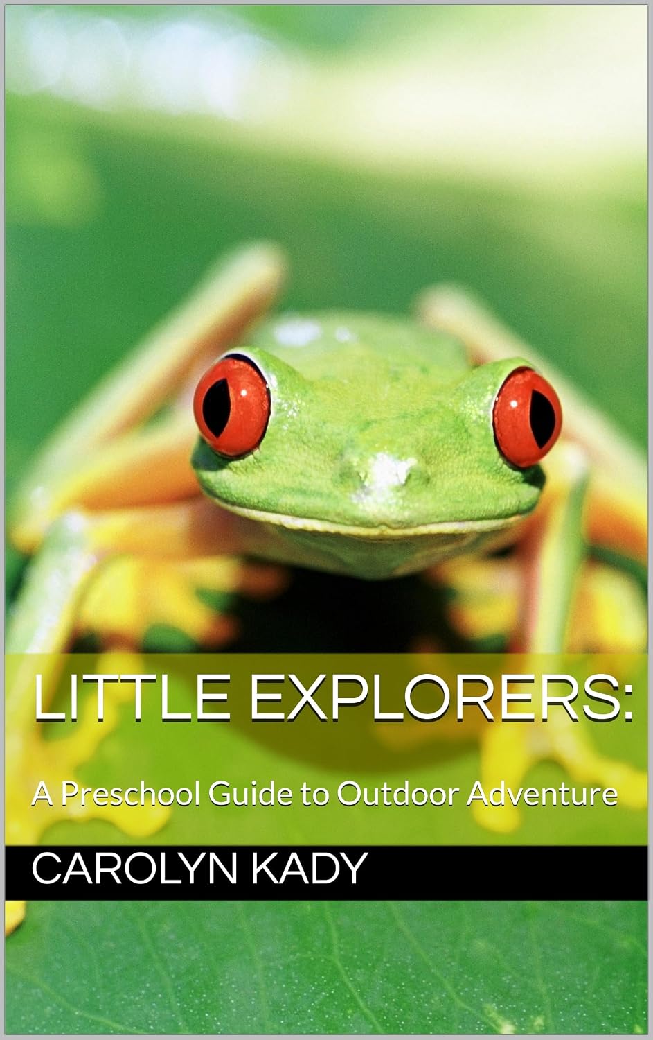 Amazon.com: Little Explorers: A Preschool Guide to Outdoor Adventure ...