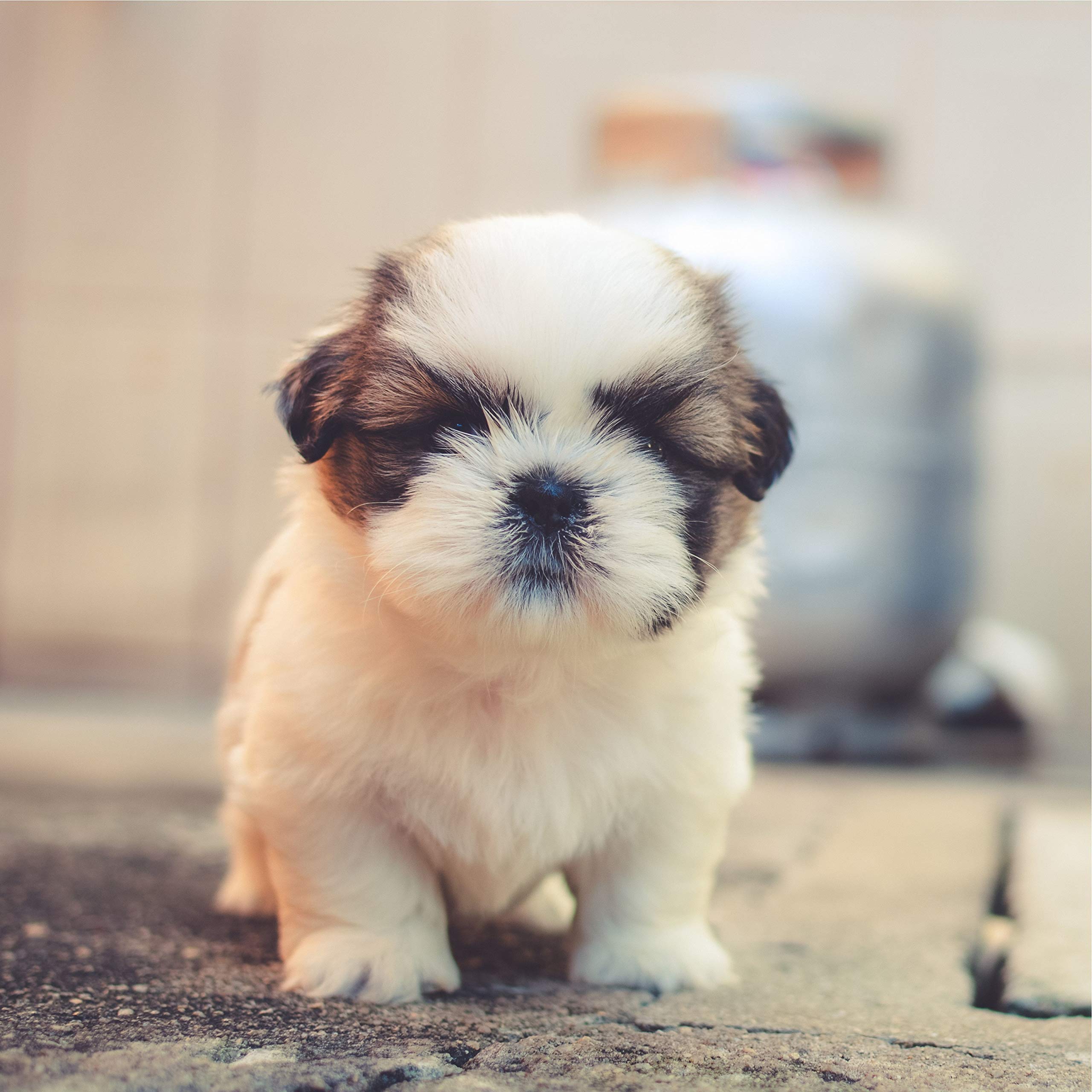 Ocean Air song by Hieling from Farthest Point of Light on Amazon Music