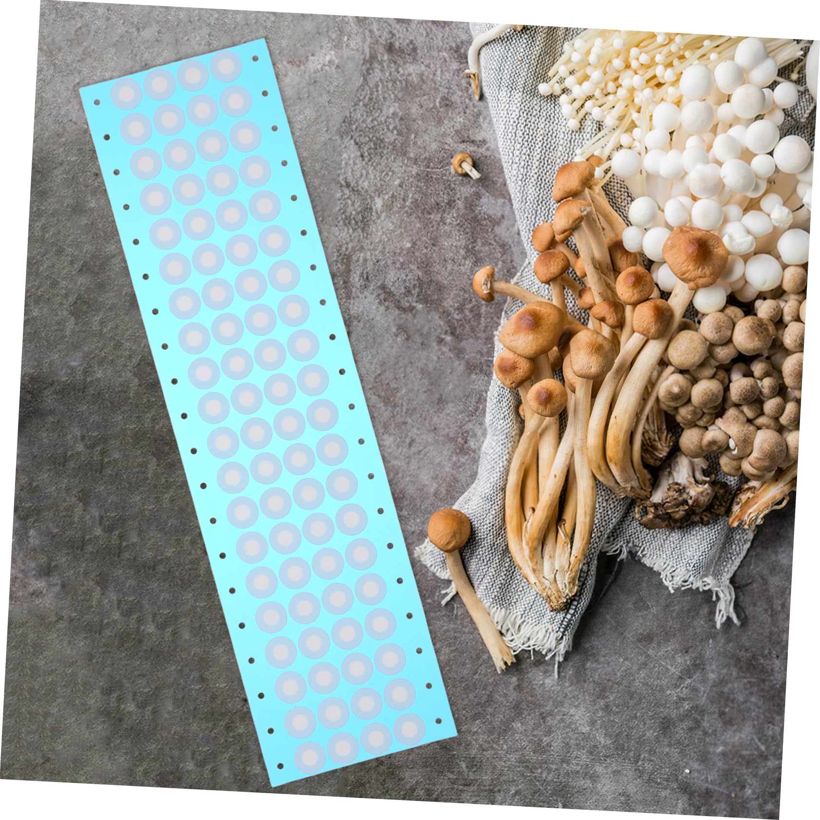 Tetratex® EPTFE Membrane Filter Media Technology | Membrane