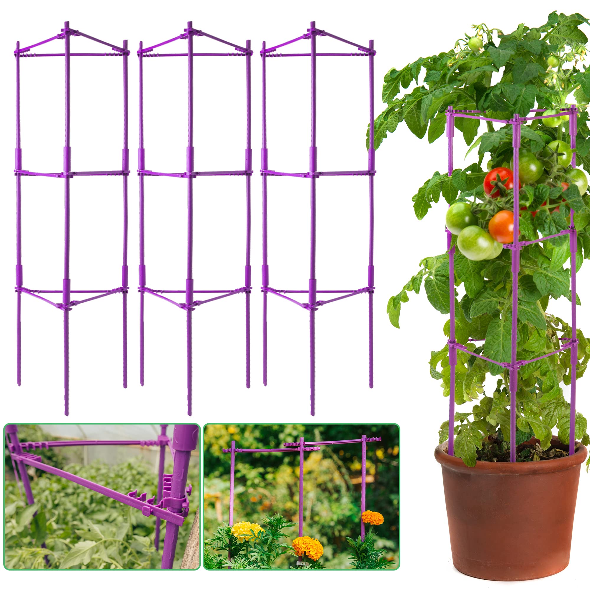 Cherry Tomato Plant Support
