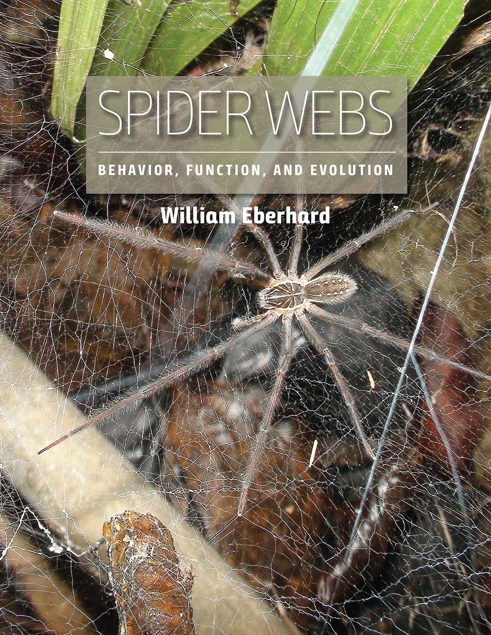 Spider Webs: Behavior, Function, and Evolution: Eberhard, William ...