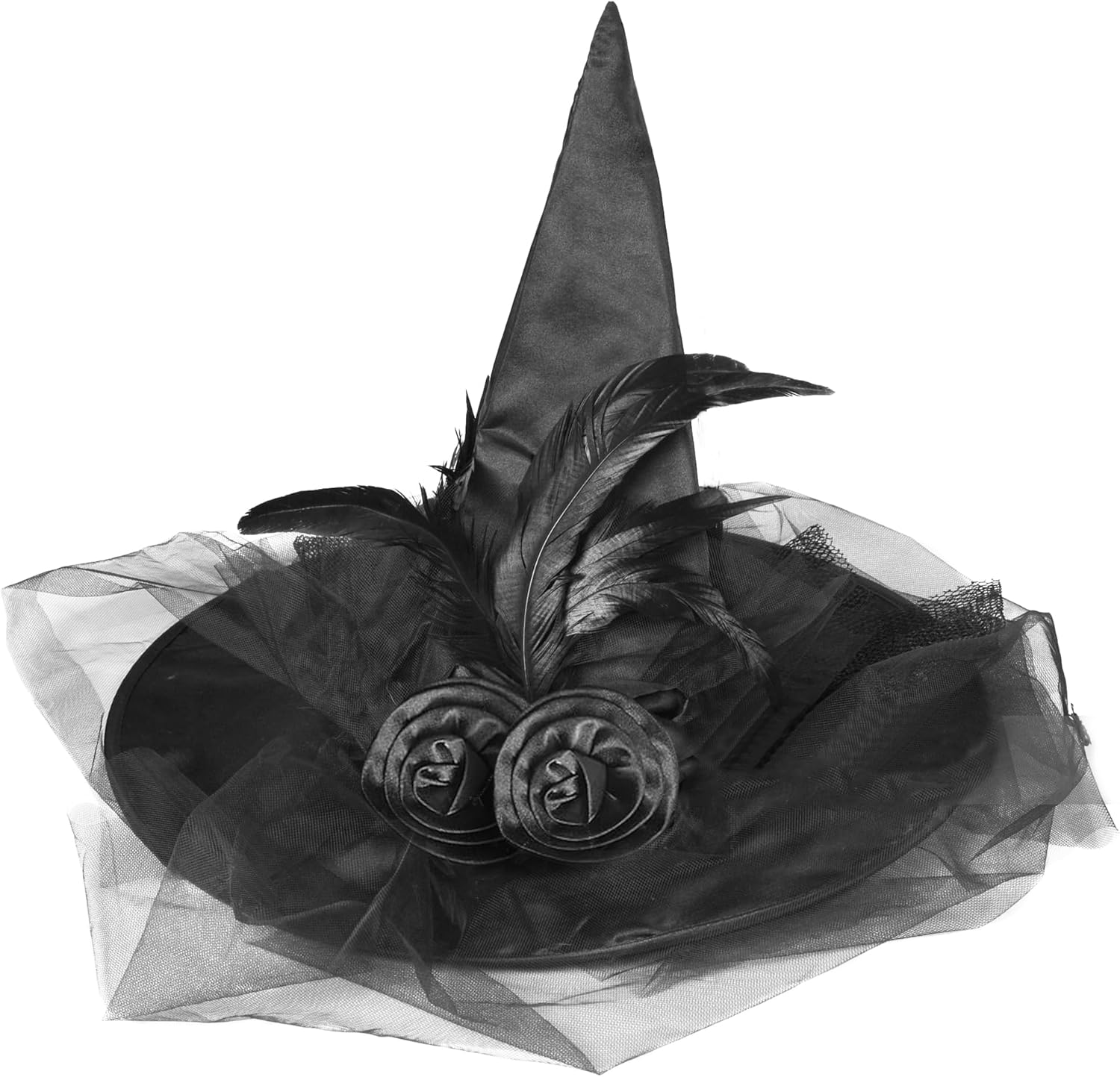 Amazon.com: REDSTAR FANCY DRESS Black Feathered Witch Hat with Veil ...