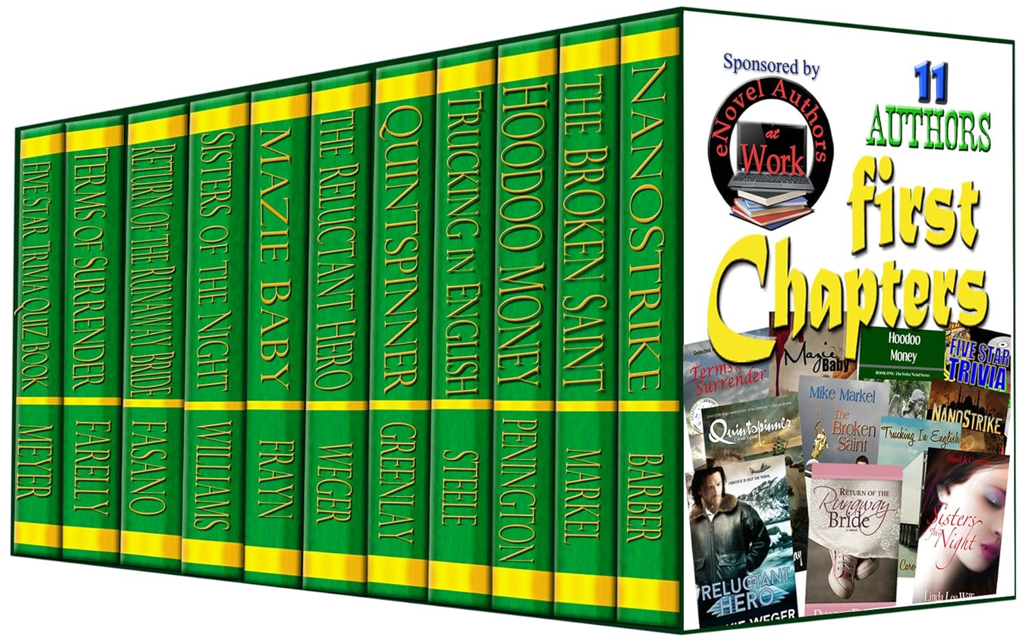 First Chapters - Kindle edition by Weger, Jackie, Frayn, Julie, Meyer ...