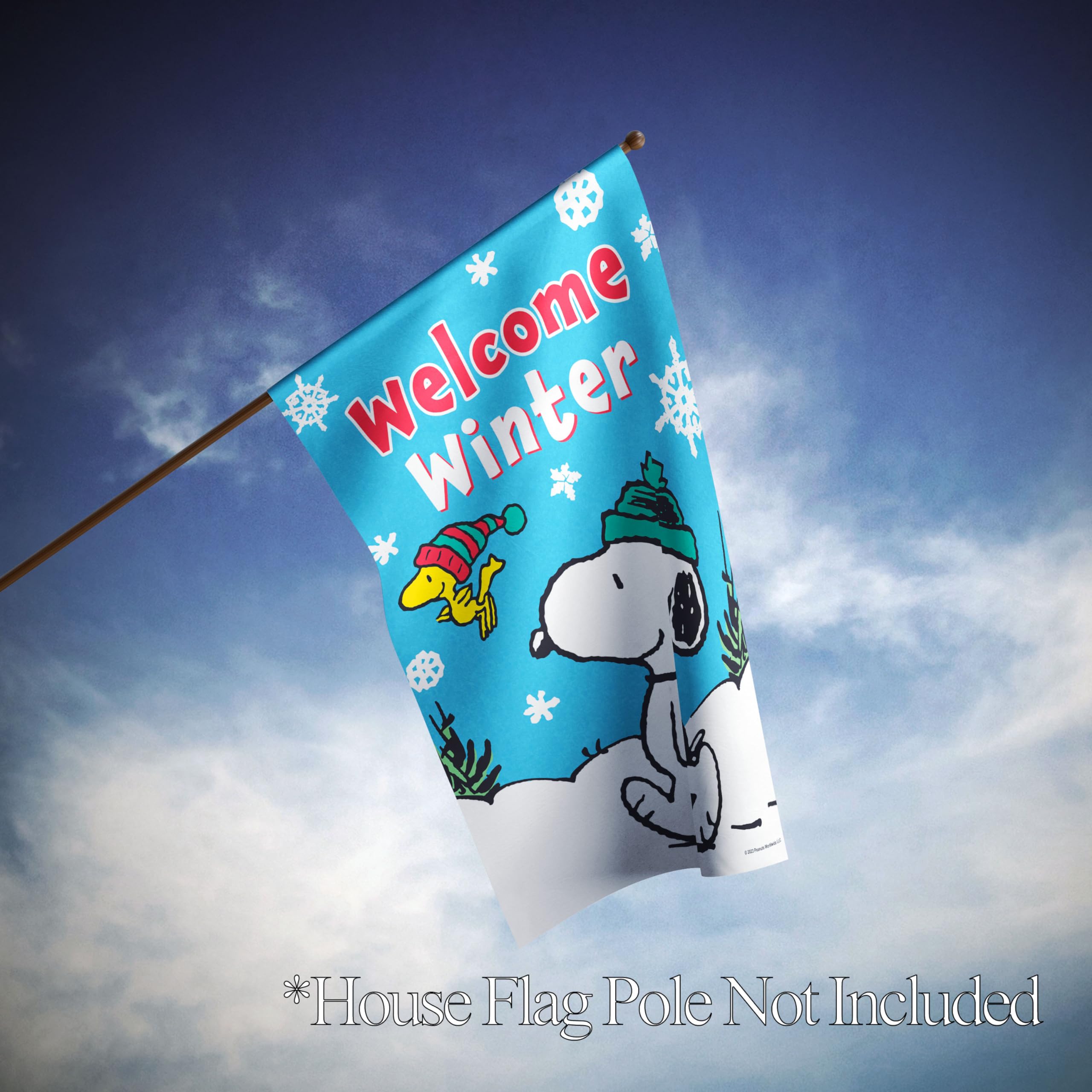 Snoopy Winter Banner