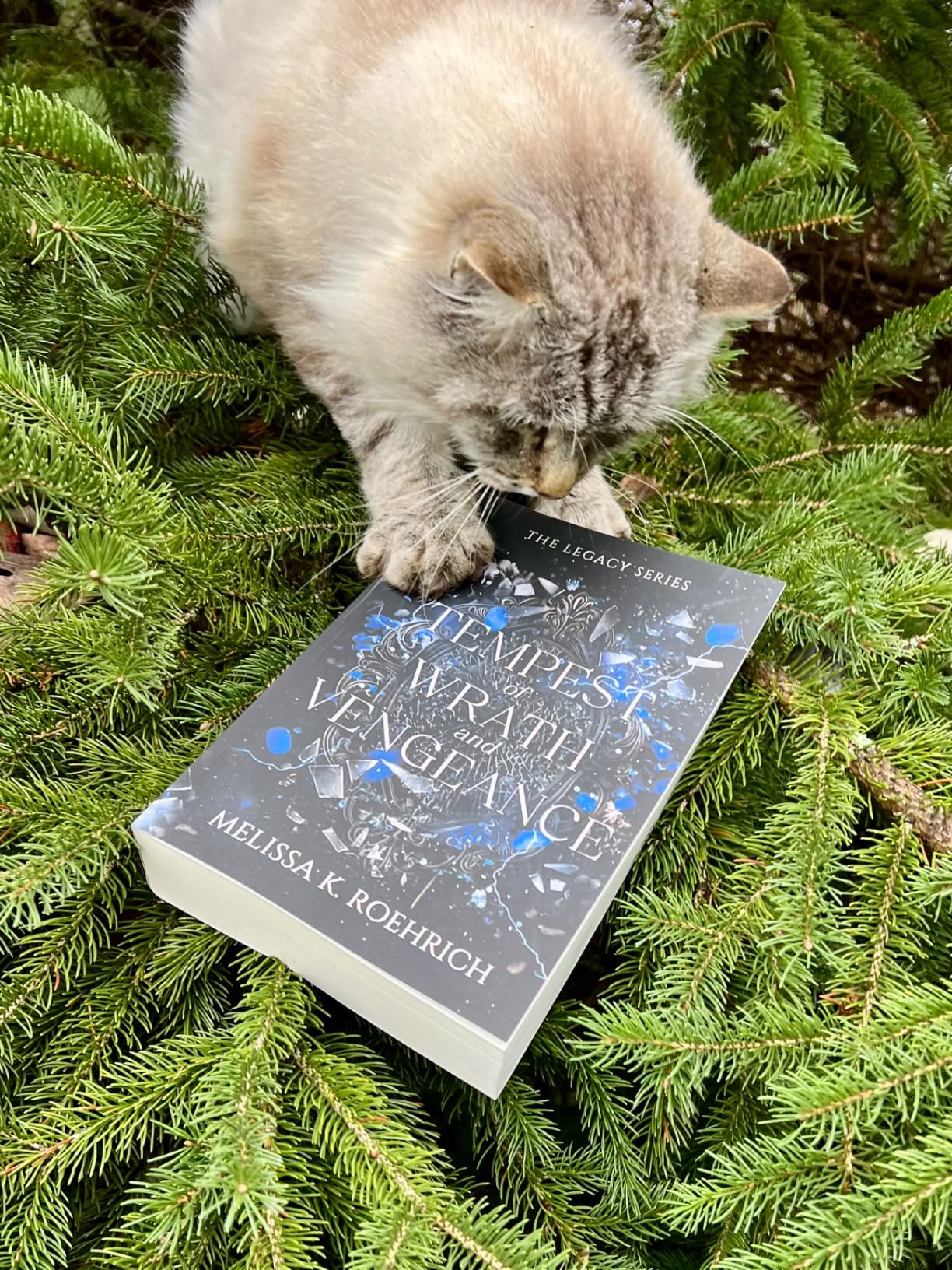 Amazon.com: Tempest of Wrath and Vengeance: The Legacy Series, Book 3 ...