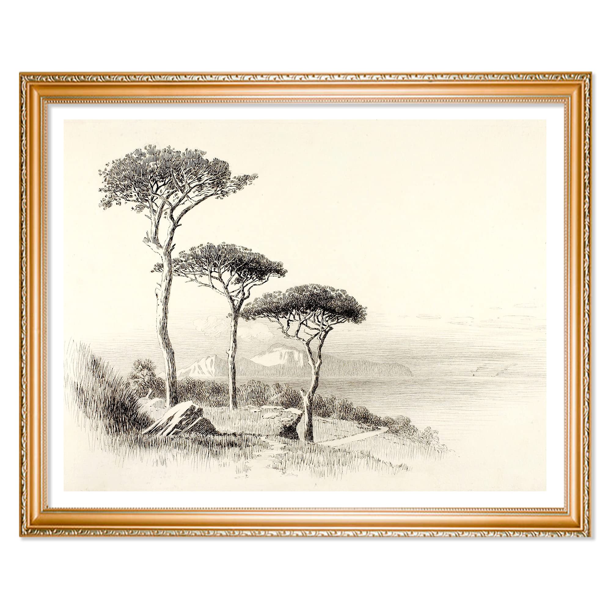 Wall Landscape Drawing