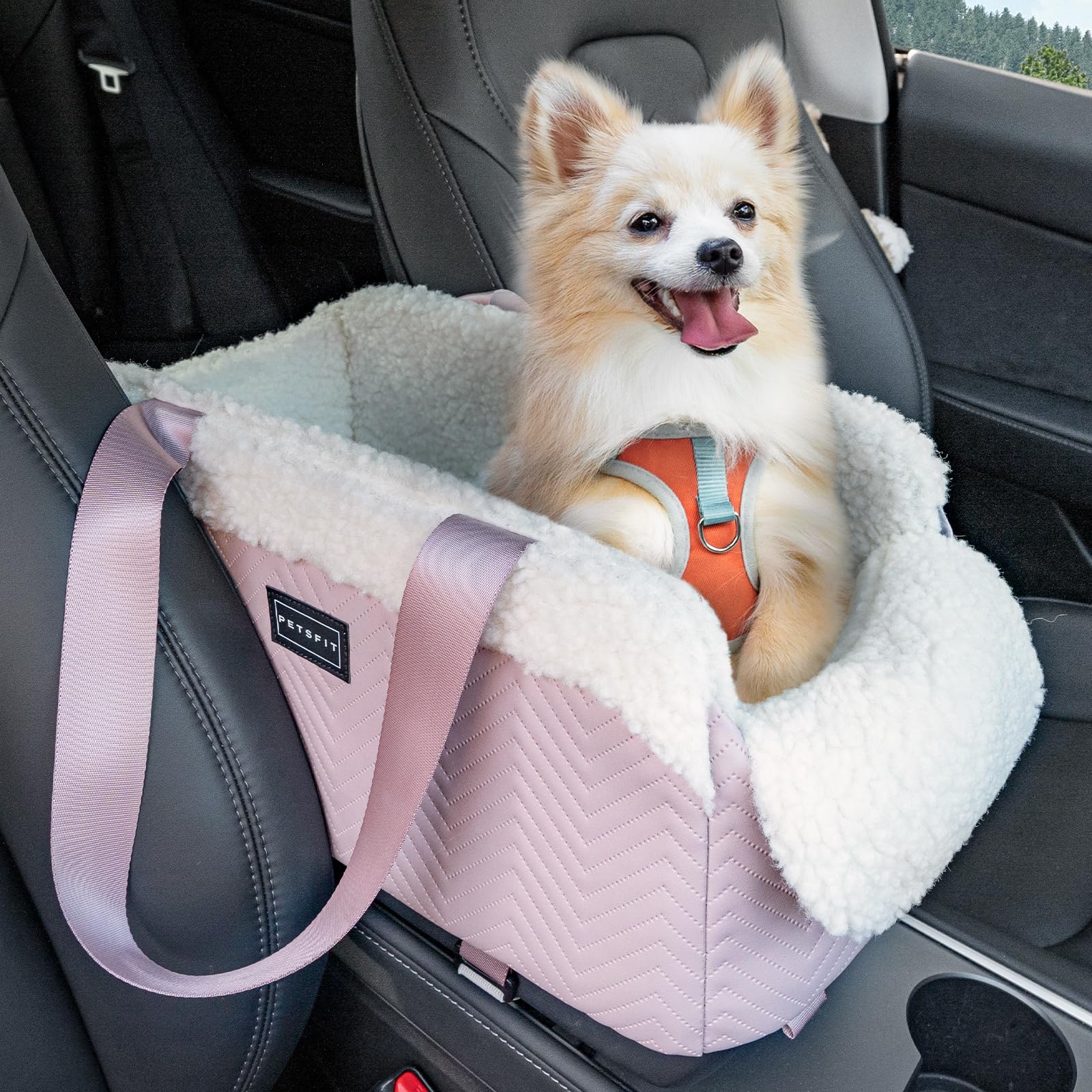 Amazon.com : PETSFIT Cat Car Seat, Portable Console Dog Car Seat with ...