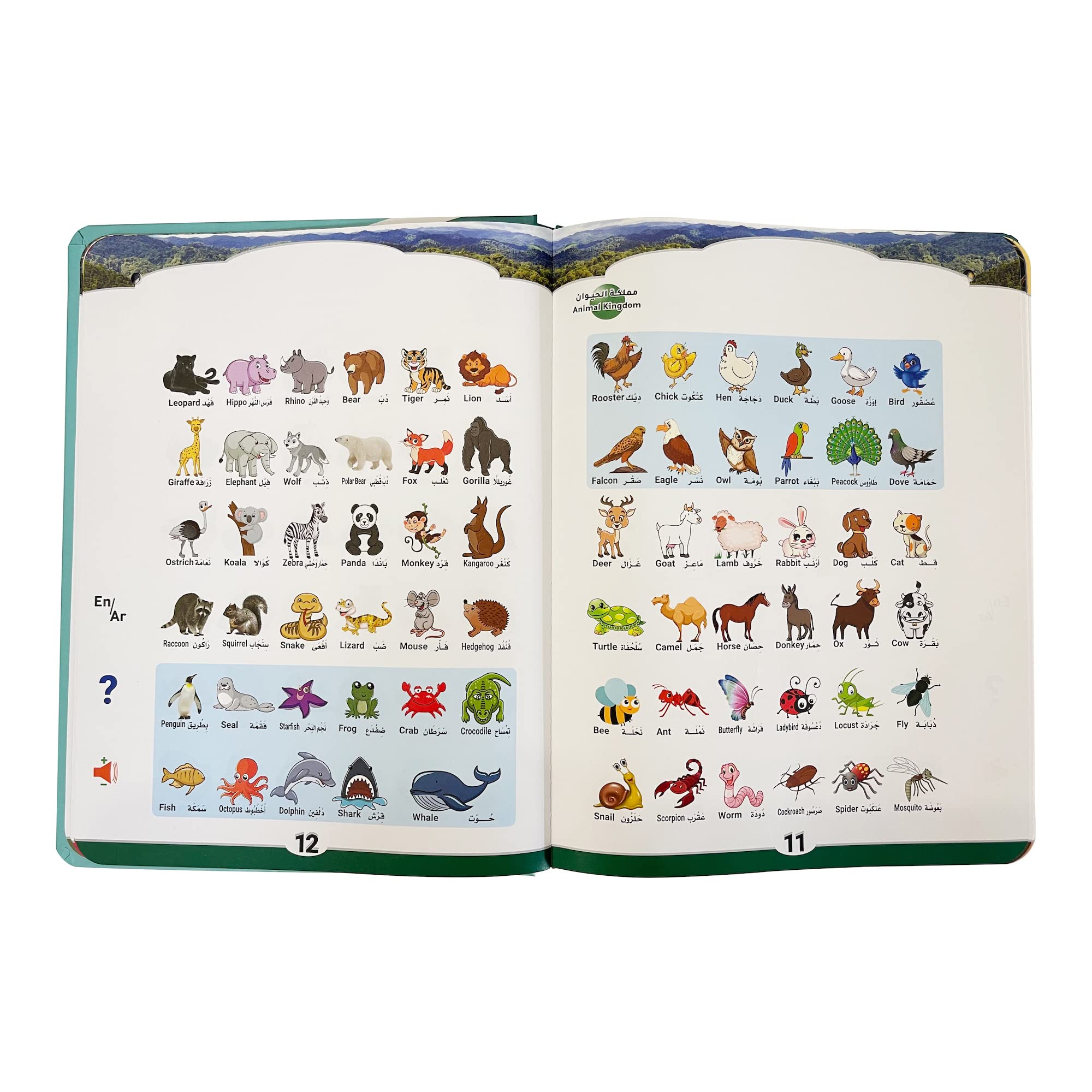 Snapklik.com : Arabic Alphabet Book For Kids