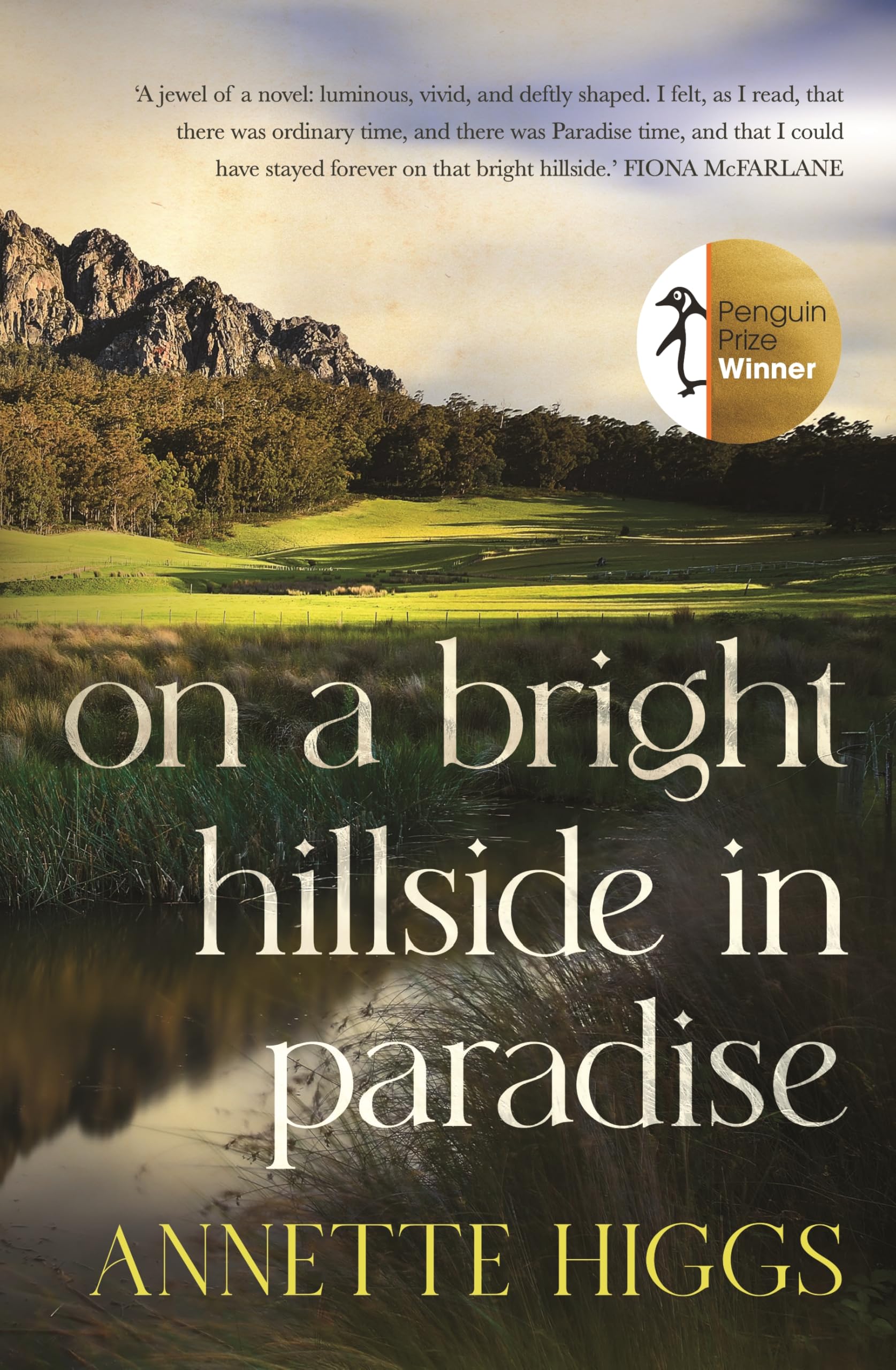 On a Bright Hillside in Paradise: Annette Higgs: 9781761049736: Amazon ...
