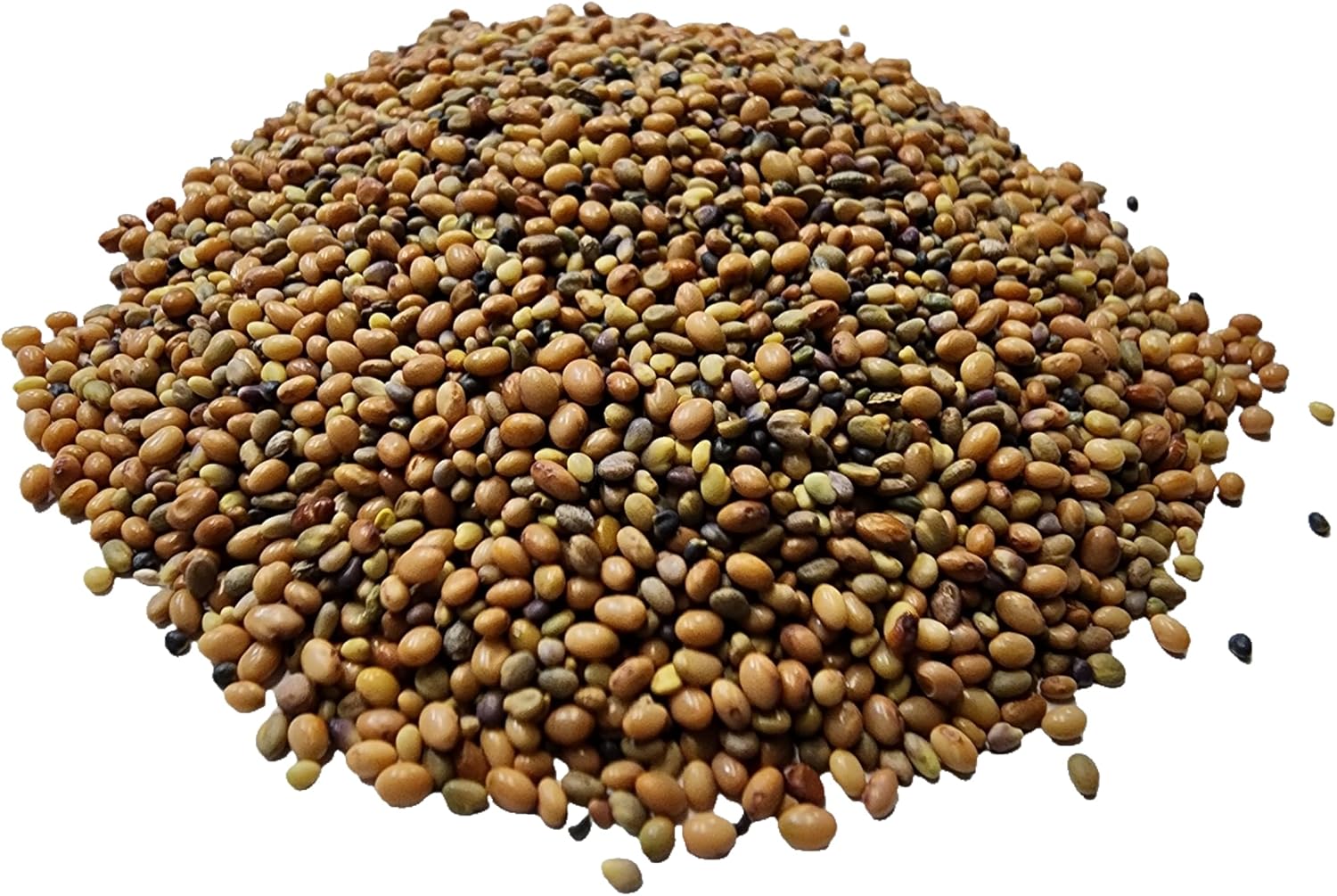Bee Feed Clover Seed Mix, with Crimson Clover, Red Clover, Sweet Clover ...