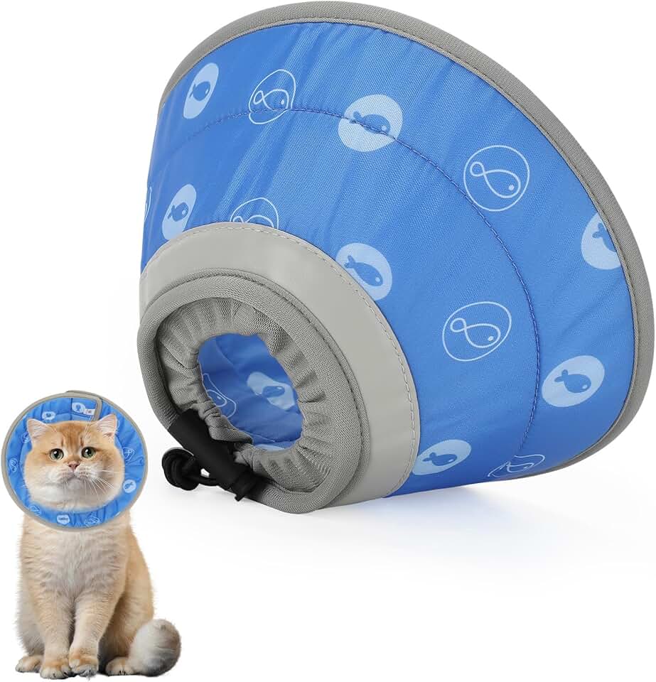 Amazon.fr : Collerettes Pour Chats - Collerettes Pour Chats / Hygiène ...