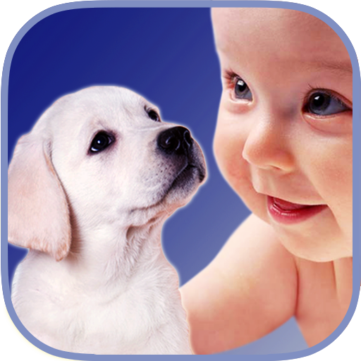 ZOOLA - Best animal app for kids - App on the Amazon Appstore