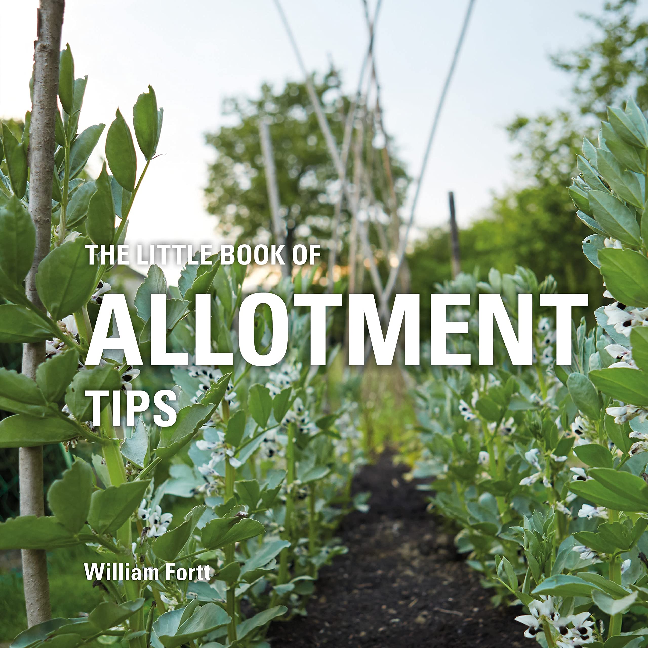 The Little Book of Allotment Tips (Little Books of Tips): Amazon.co.uk ...