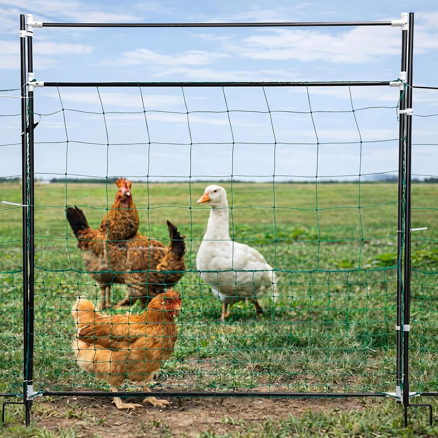 Leinuosen Electric Poultry Netting Gate, 50" H x 37" L Electric Chicken ...