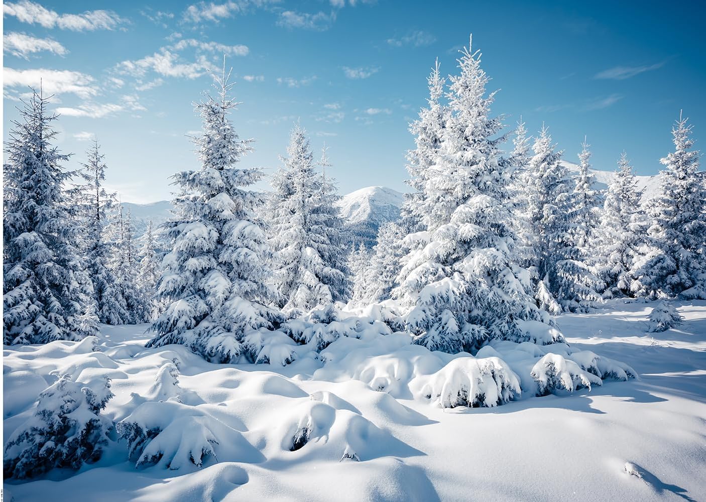 Amazon.com : CYLYH Snowy Scenery Backdrop Winter Forest Photography ...