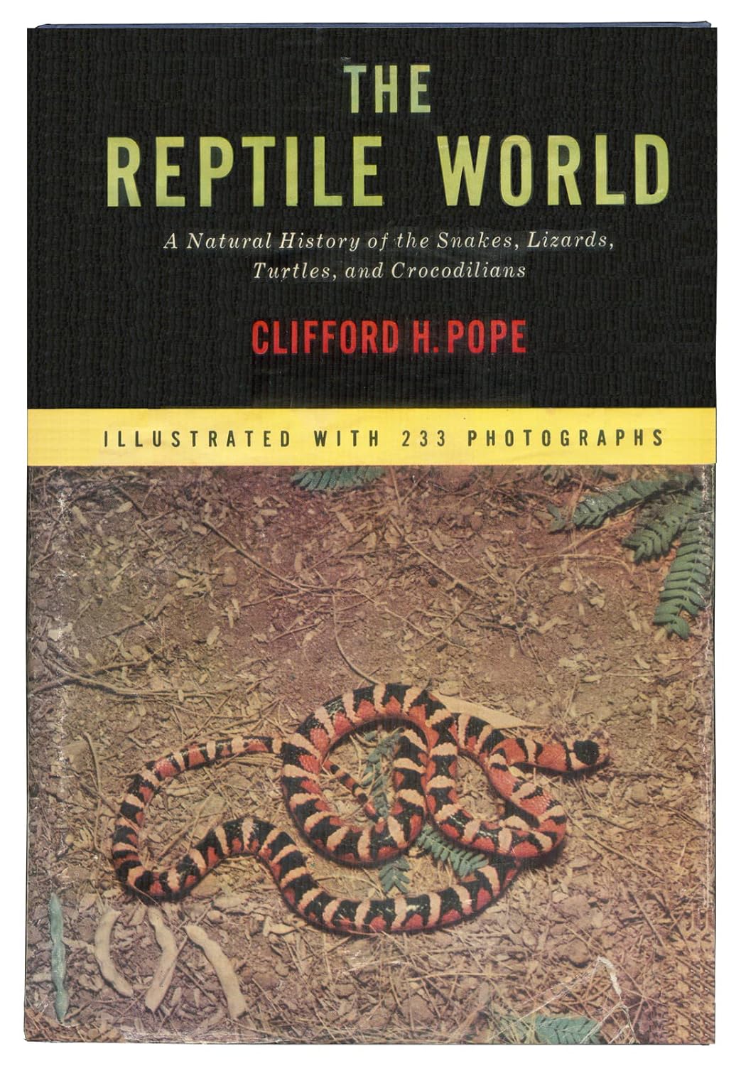 Reptile World: Pope: 9780394442662: Amazon.com: Books