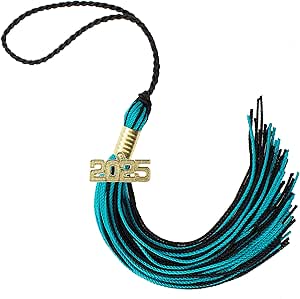 Amazon.com: Tassel Depot 2025 Black/Teal Graduation Tassel - Every ...