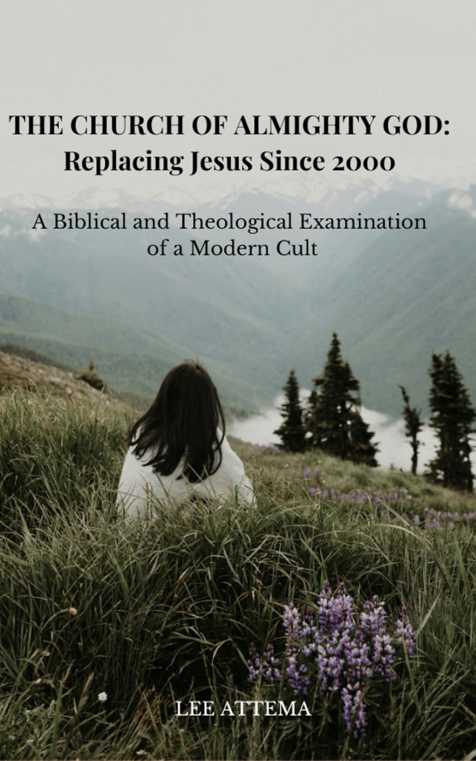 Amazon.com: The Church of Almighty God: Replacing Jesus Since 2000: A ...