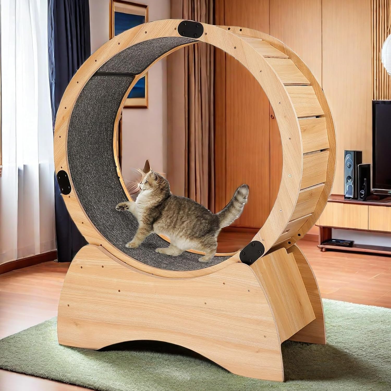 Amazon.com : Large Wooden Cat Exercise Wheel - Indoor Cat Treadmill for ...