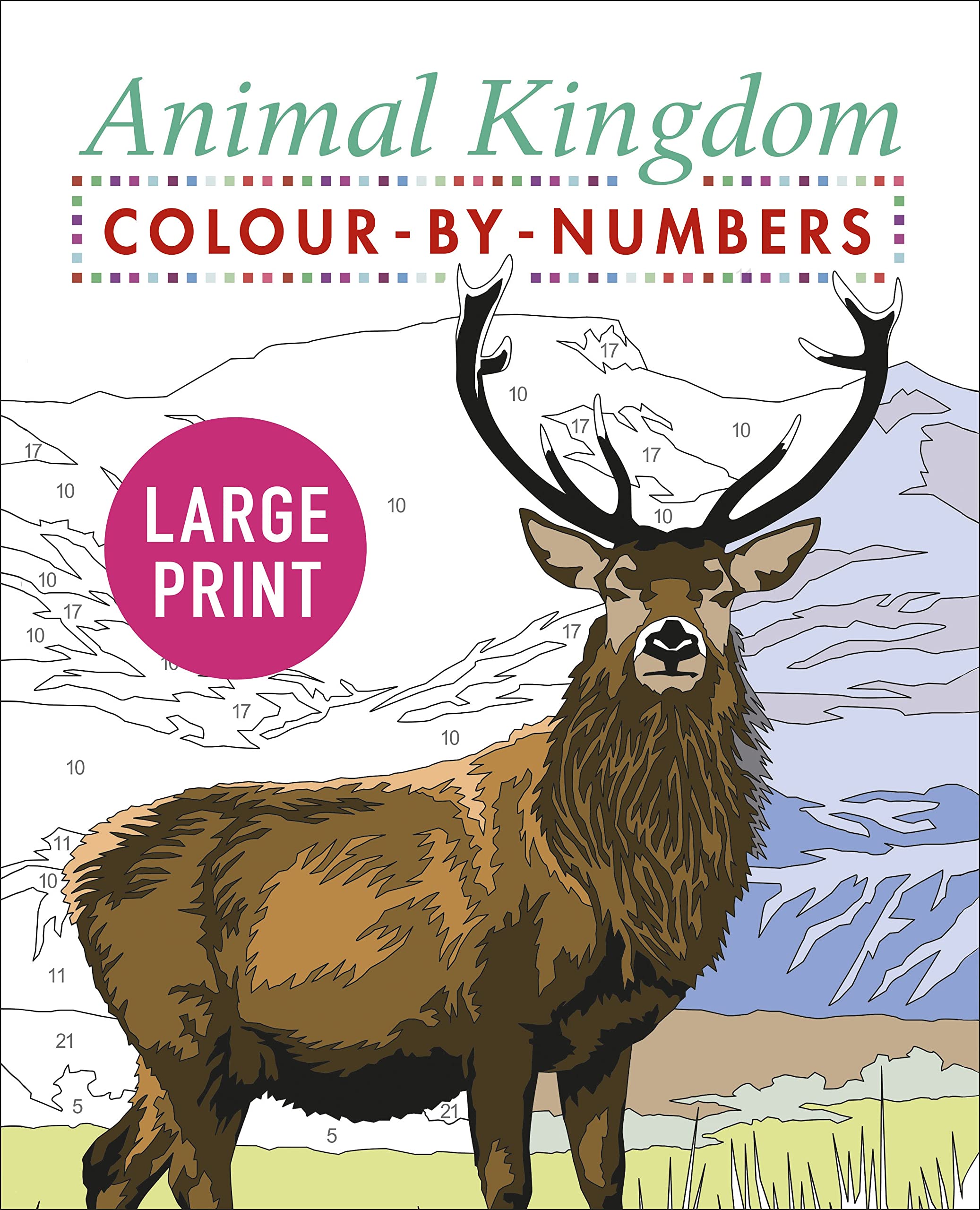 Amazon.com: Large Print Animal Kingdom Colour by Numbers (Arcturus ...