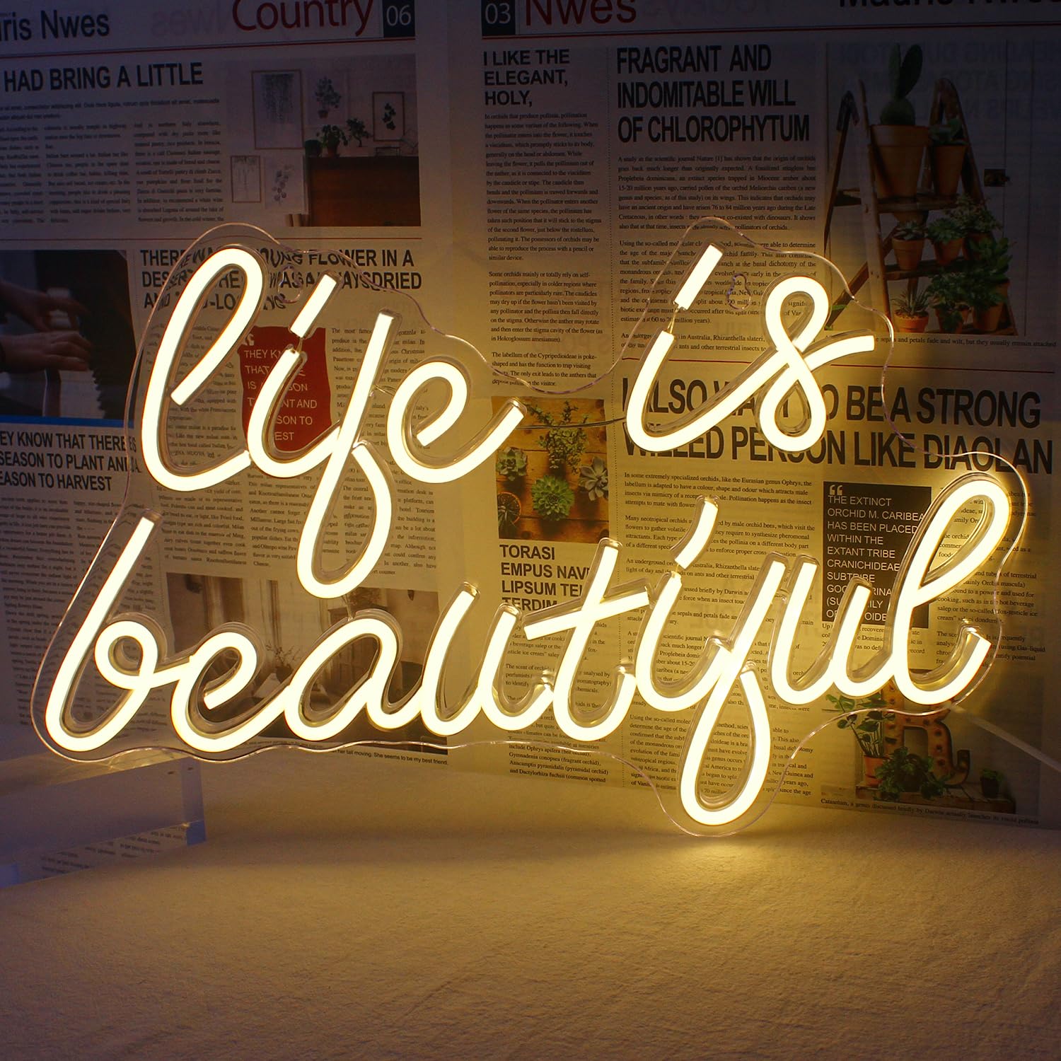 Amazon.com : Horseneon Life is Beautiful Neon Signs for Wall Decor ...