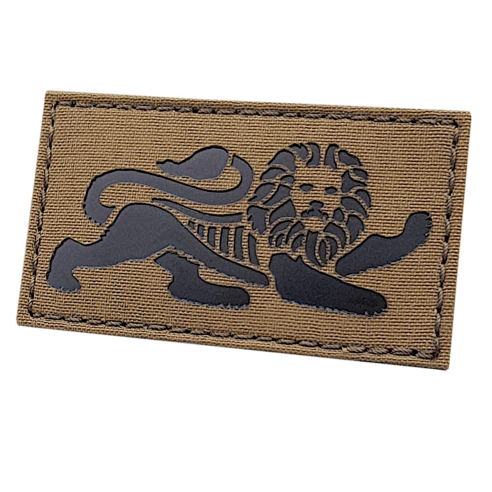 Buy IR Coyote UK Duke of Lancaster Regiment Re Flash Lion of England ...