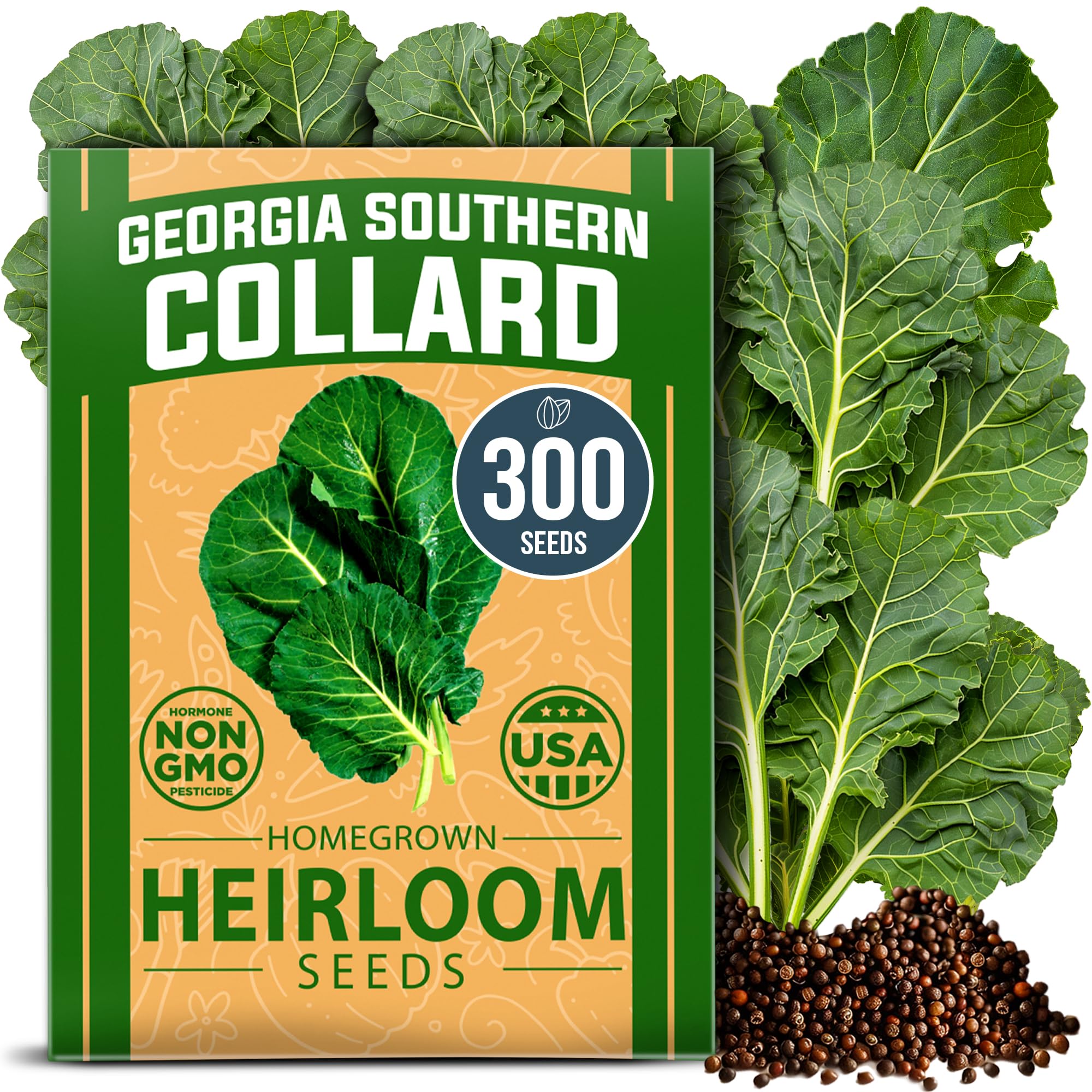 Amazon.com : HOME GROWN Collard Green Seeds Georgia Southern Bulk Pack ...