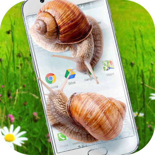 Snail in Phone best joke - App on Amazon Appstore
