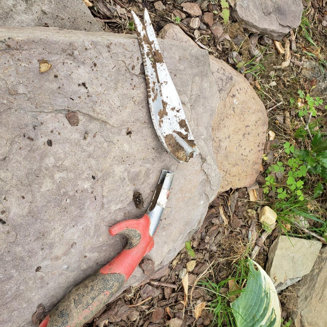 Amazon.com : Corona CT3750 14 Ergo Weeder : Patio, Lawn & Garden
