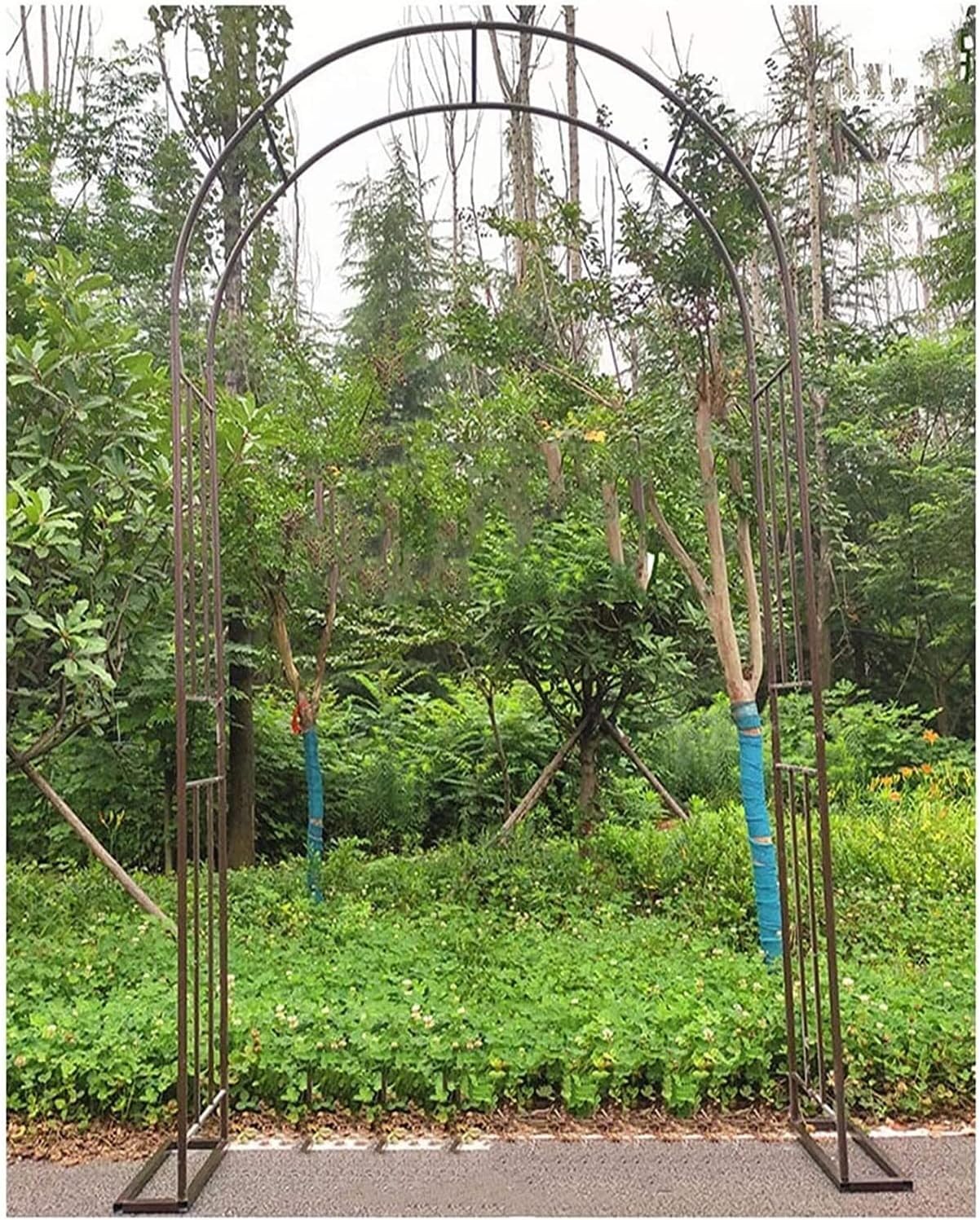 Amazon.com : Garden Arbors Garden Arch Plant Climbing Frame Metal ...