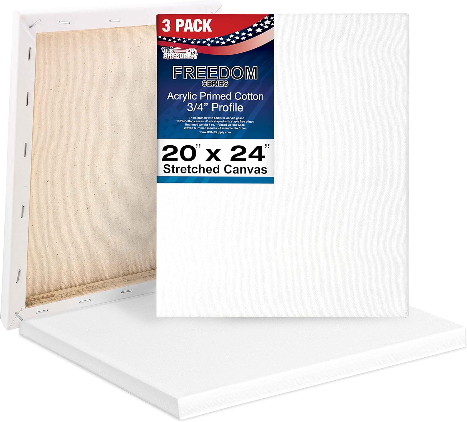 Amazon.com: U.S. Art Supply 20 x 24 inch Stretched Canvas 12-Ounce ...