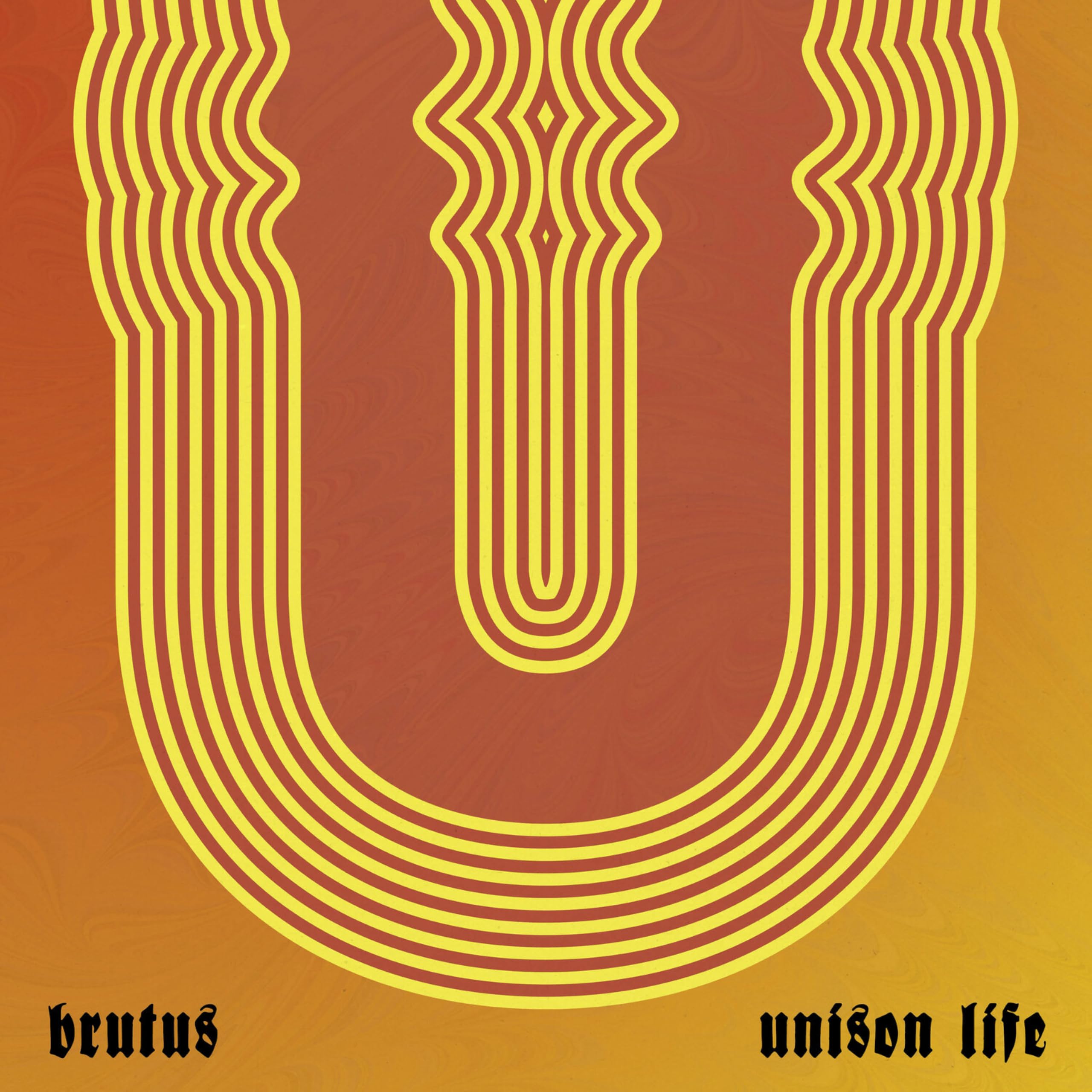 What Have We Done (Live in Brussels) song by Brutus from Live in ...